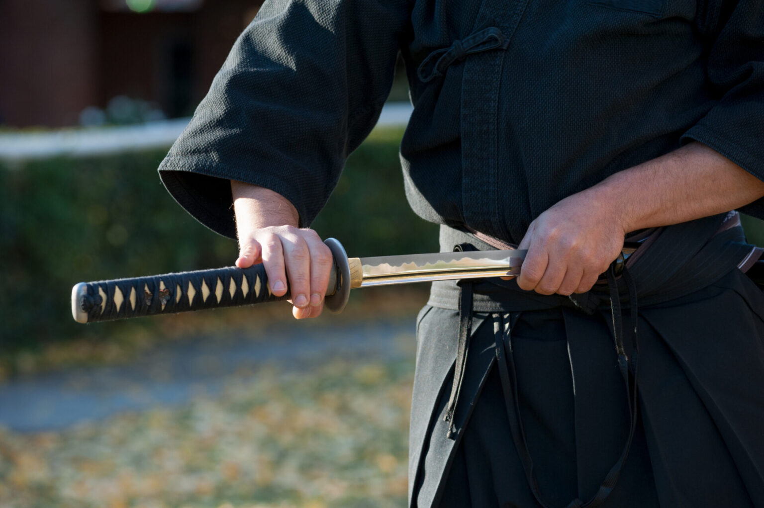 Kendo vs. Iaido | What’s Different?